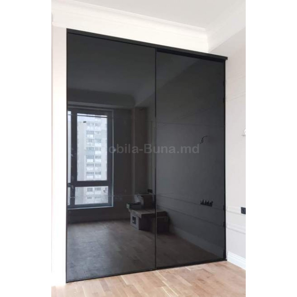 Usi , profil sistema "Slim" negru lac + sticla Lacobel 9005 negru luciu ...